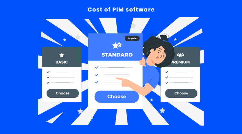 How Much does a PIM really cost? - Apimio
